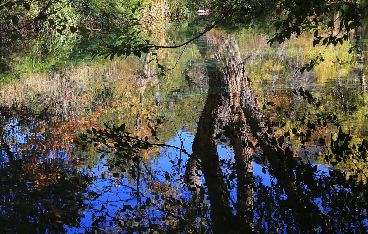 Creek Reflections in Autumn | Focal World