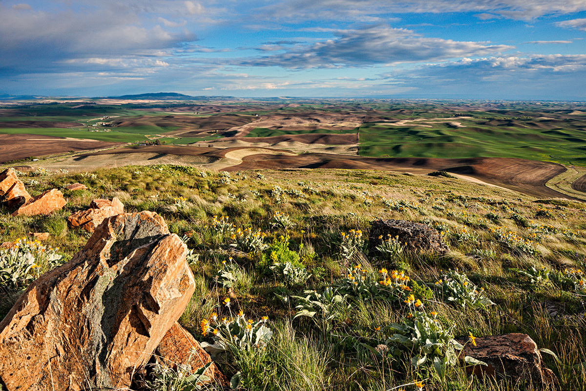 View from Steptoe Butte | Focal World
