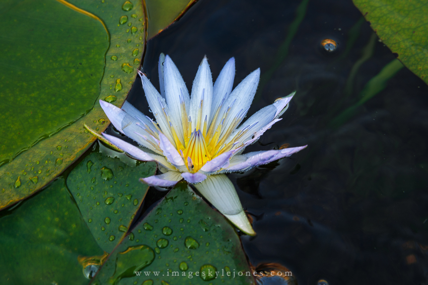 Israel, Jordan and Egypt Full Trip | Focal World