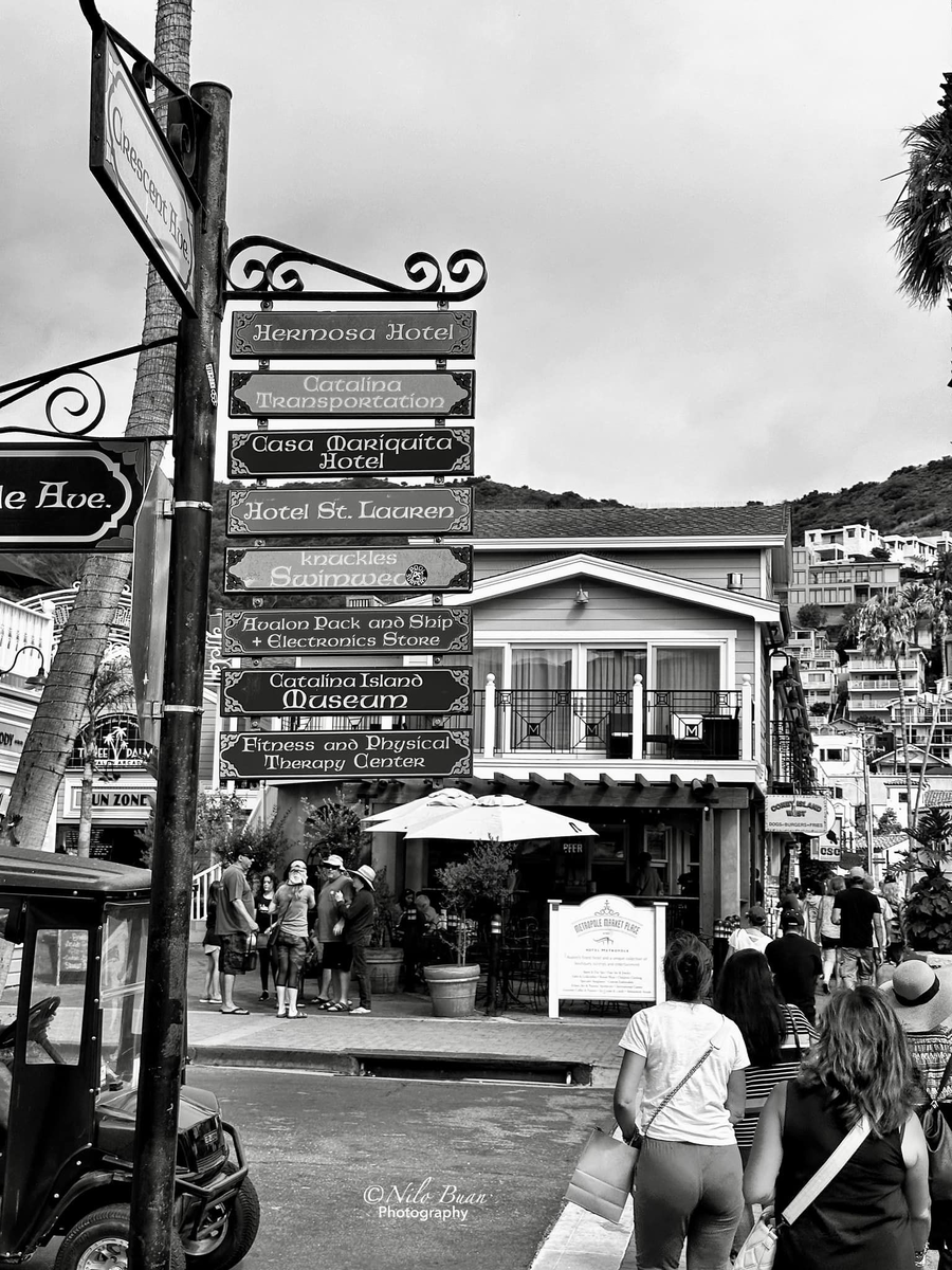 Catalina Island Street Photography | Focal World