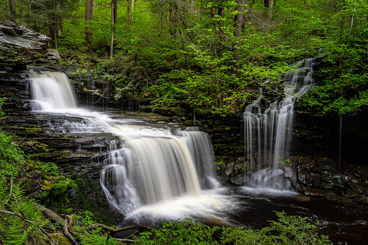 Waterfall Wednesday 6/5/2024 | Focal World