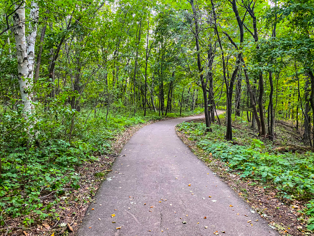 Summer Walk | Focal World