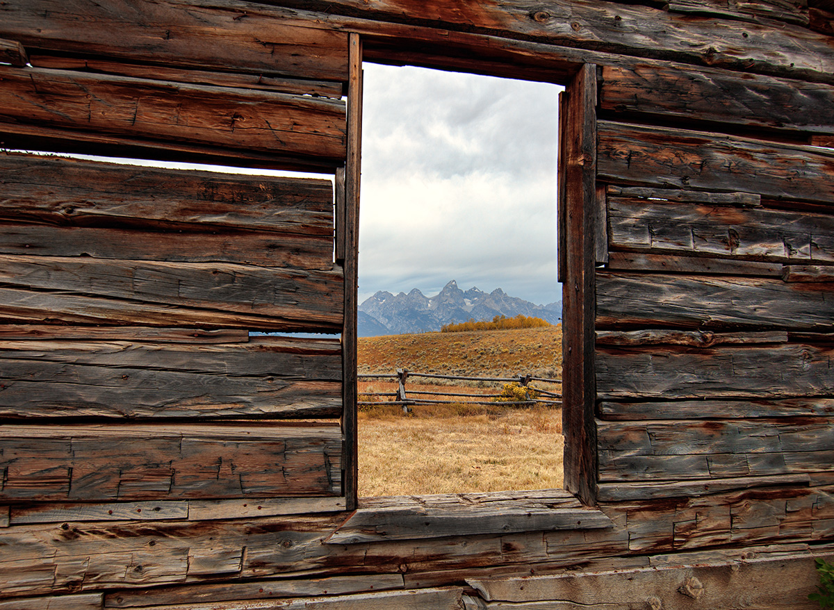 Shane Cabin | Focal World