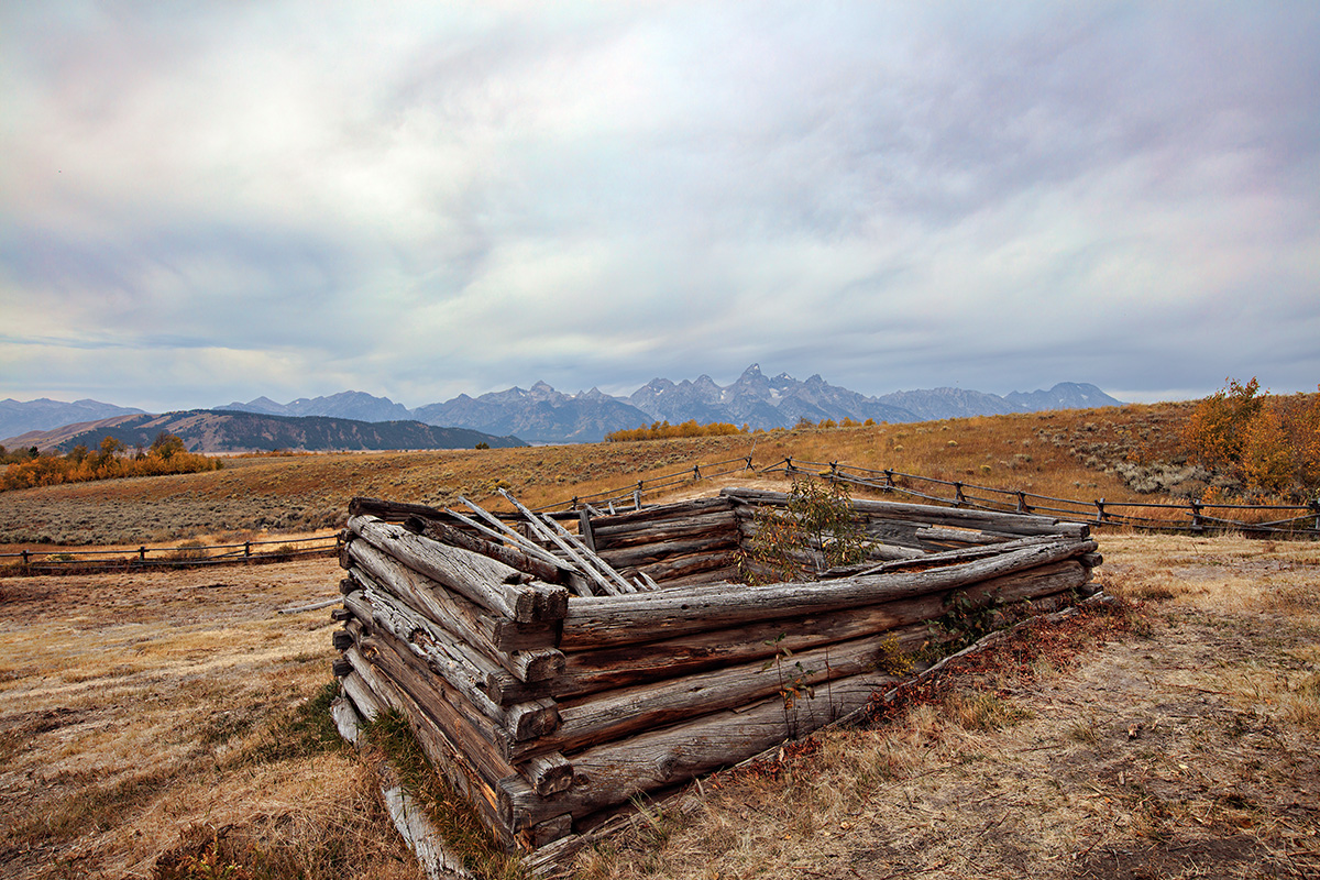 Shane Cabin | Focal World