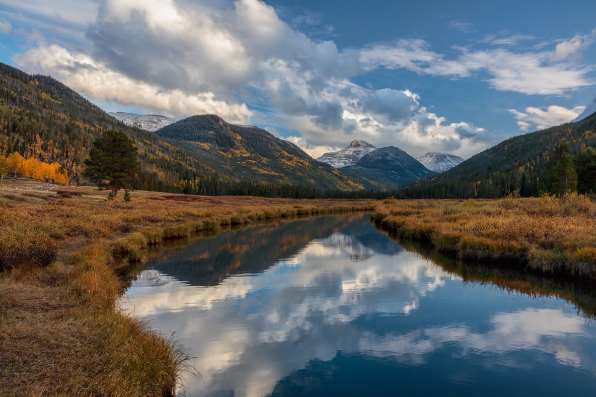 Bear River | Focal World