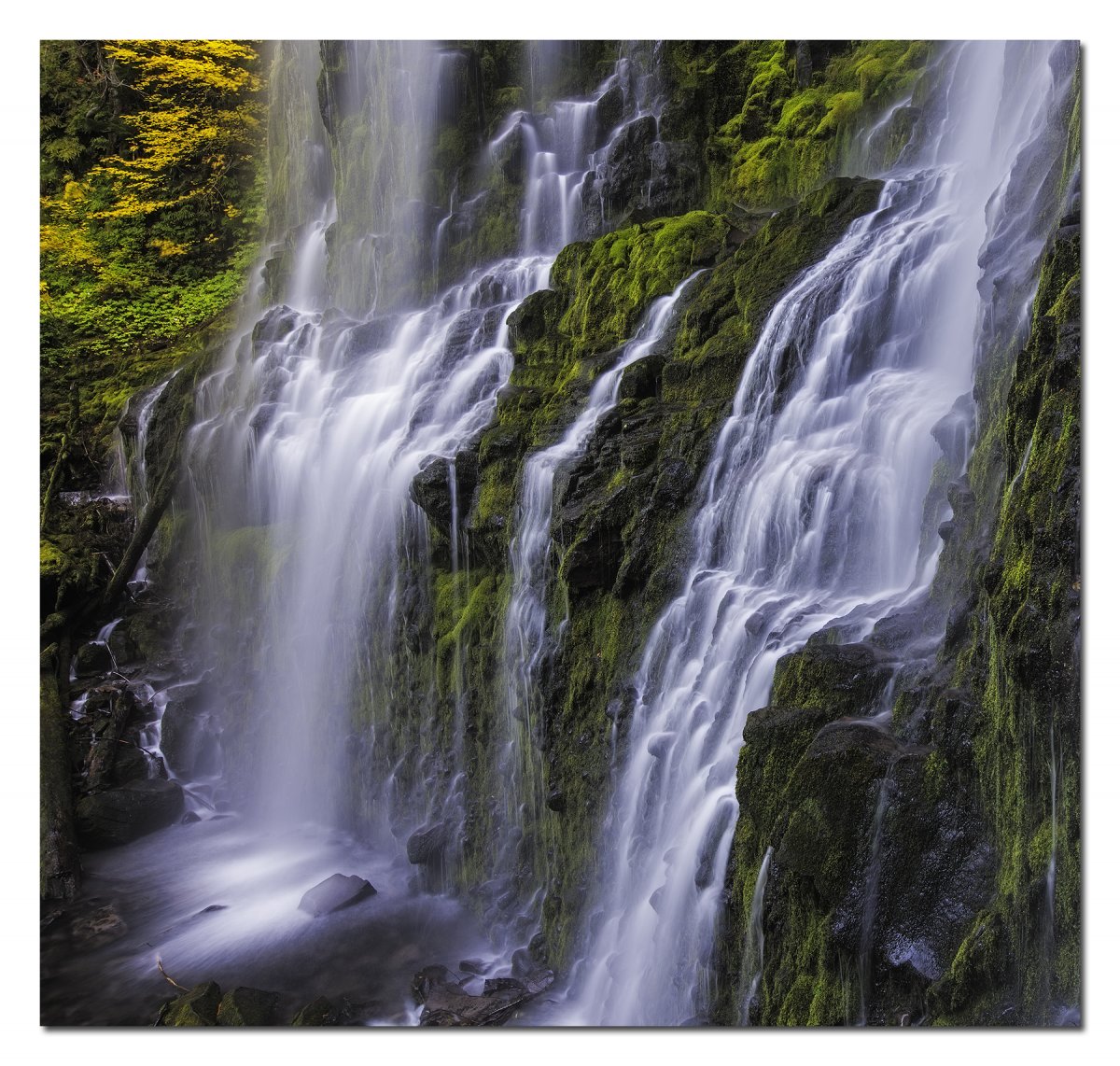 Waterfall Wednesday | Focal World