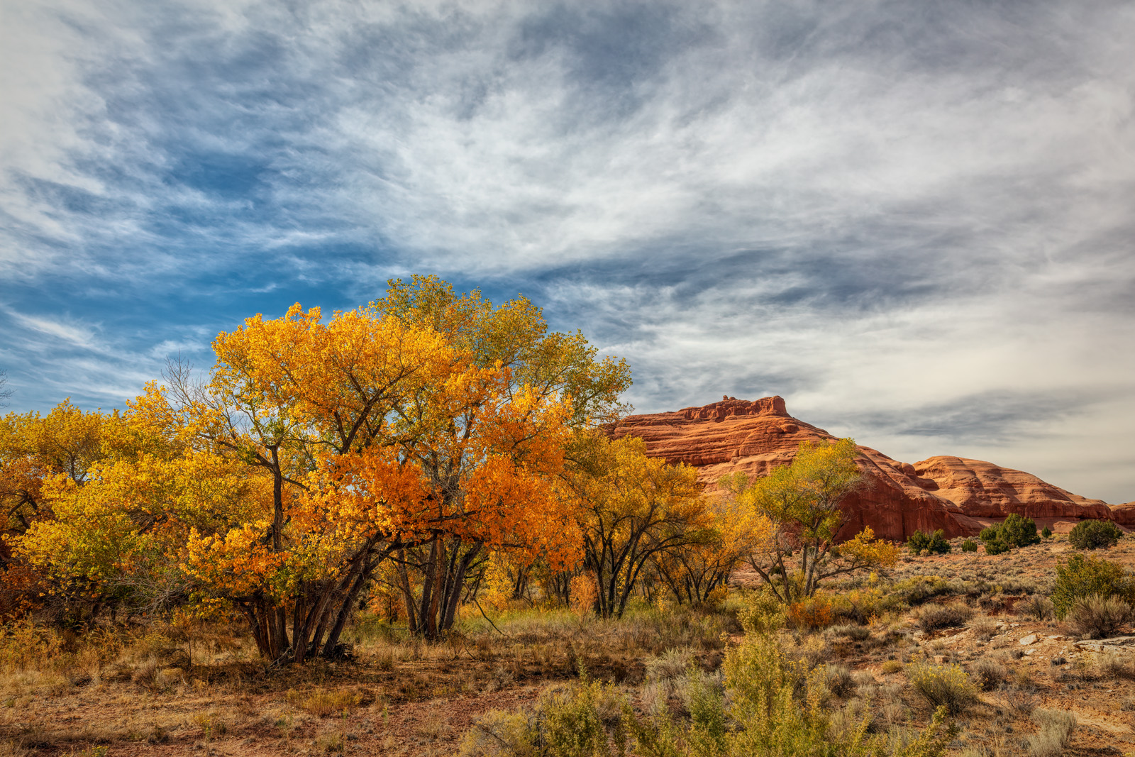 Fall in the desert | Focal World