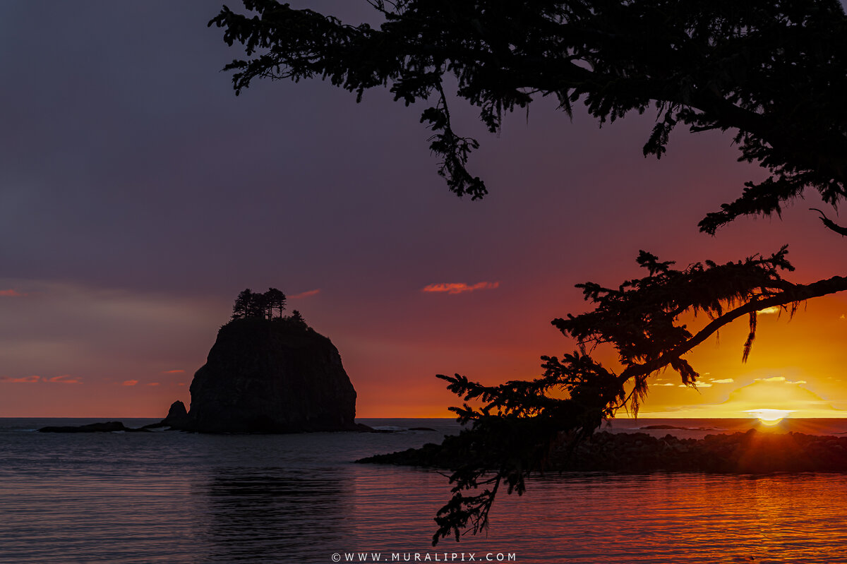 La Push First Beach sunset | Focal World