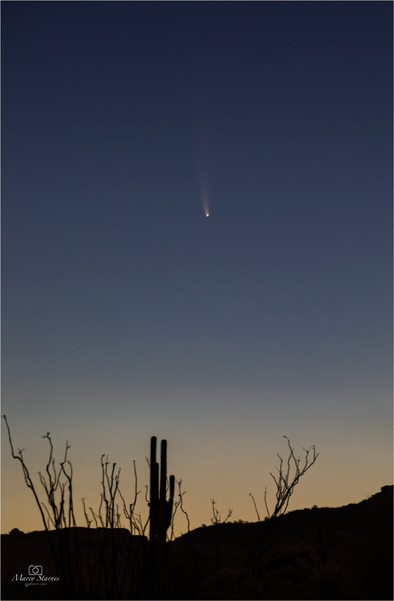 Neowise in Arizona | Focal World
