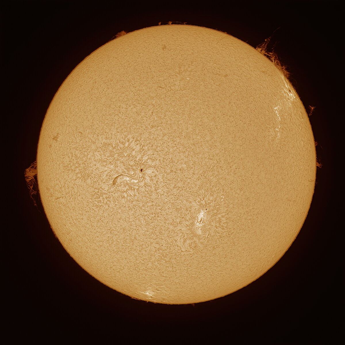 Sun with white light filter and Hydrogen alpha scope | Focal World