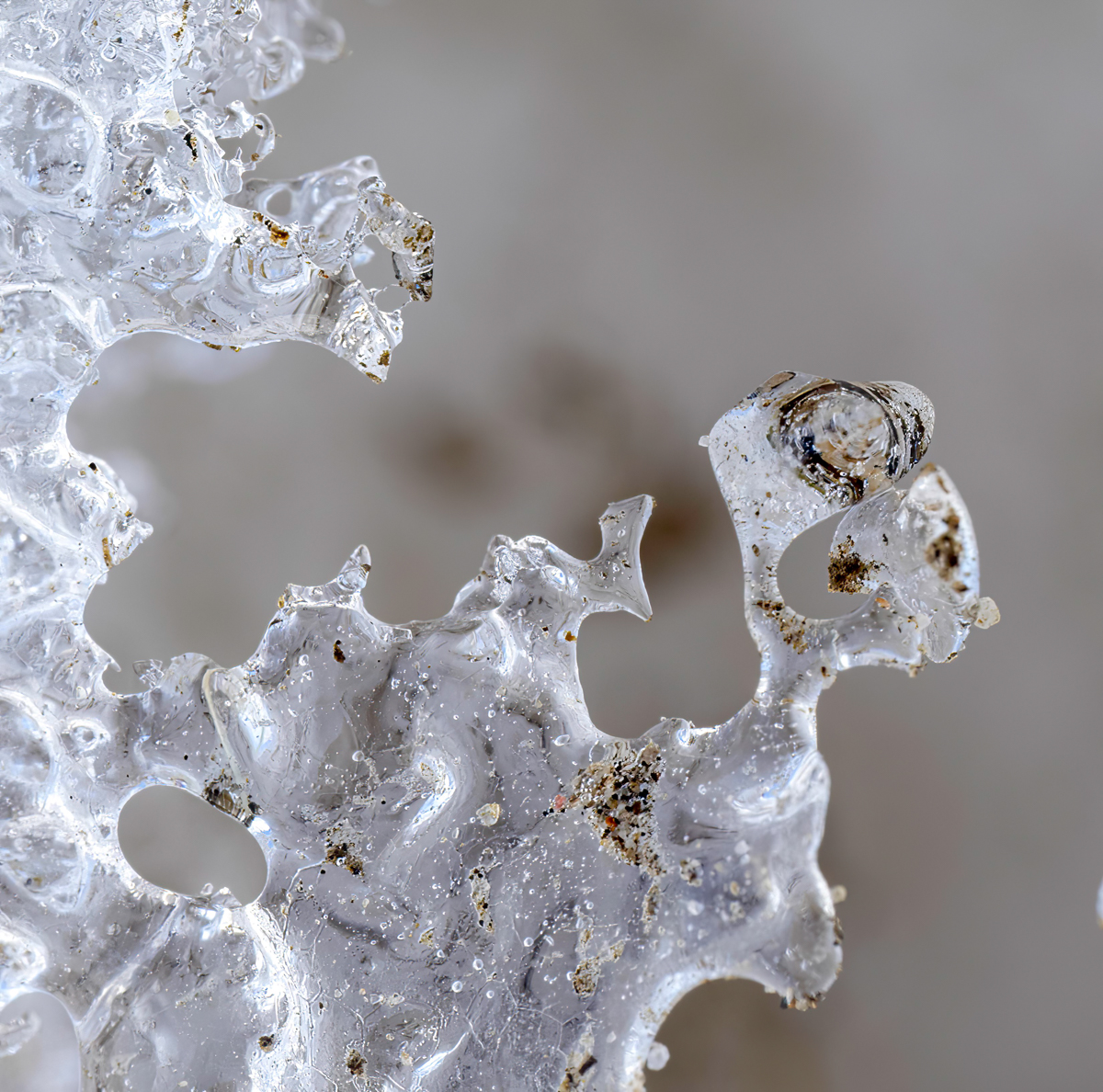 Melting Ice. | Focal World