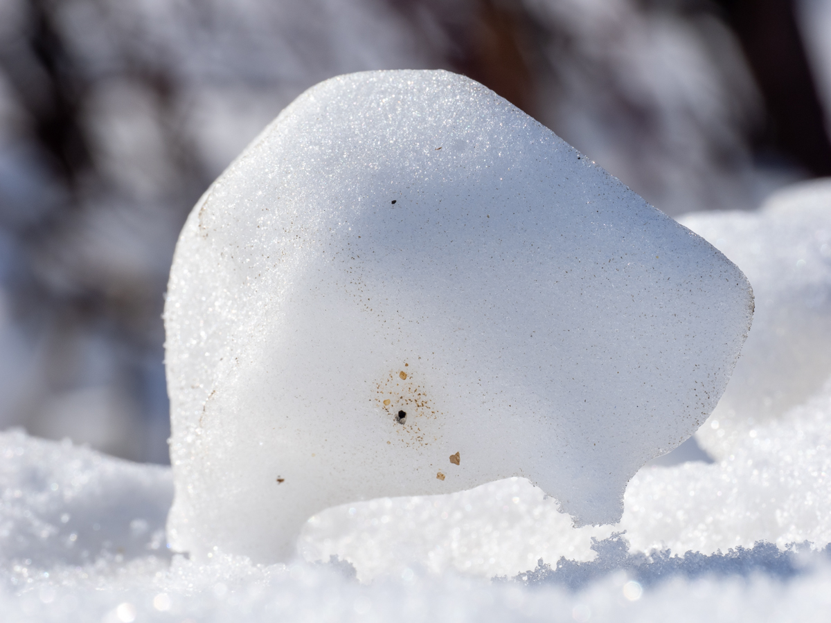 Melting Ice. | Focal World