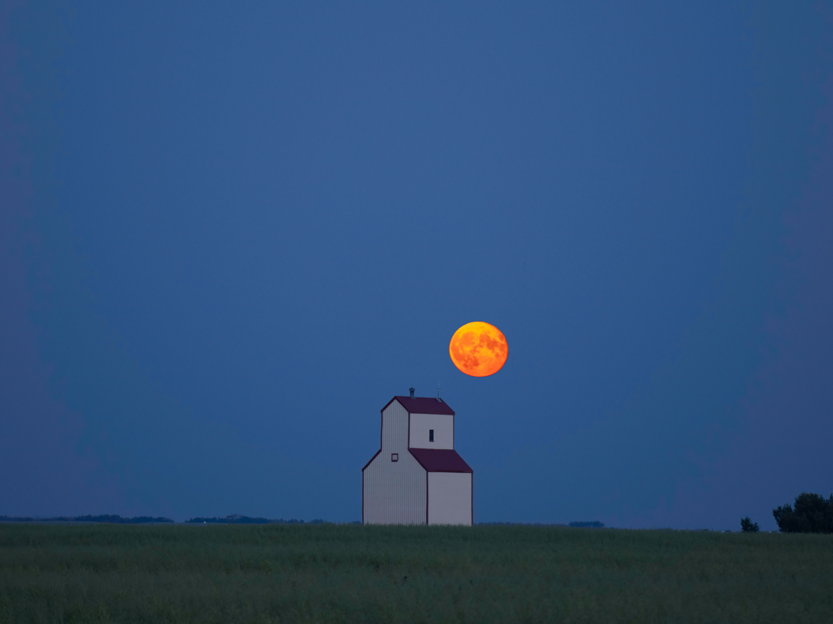 Moon shots | Focal World