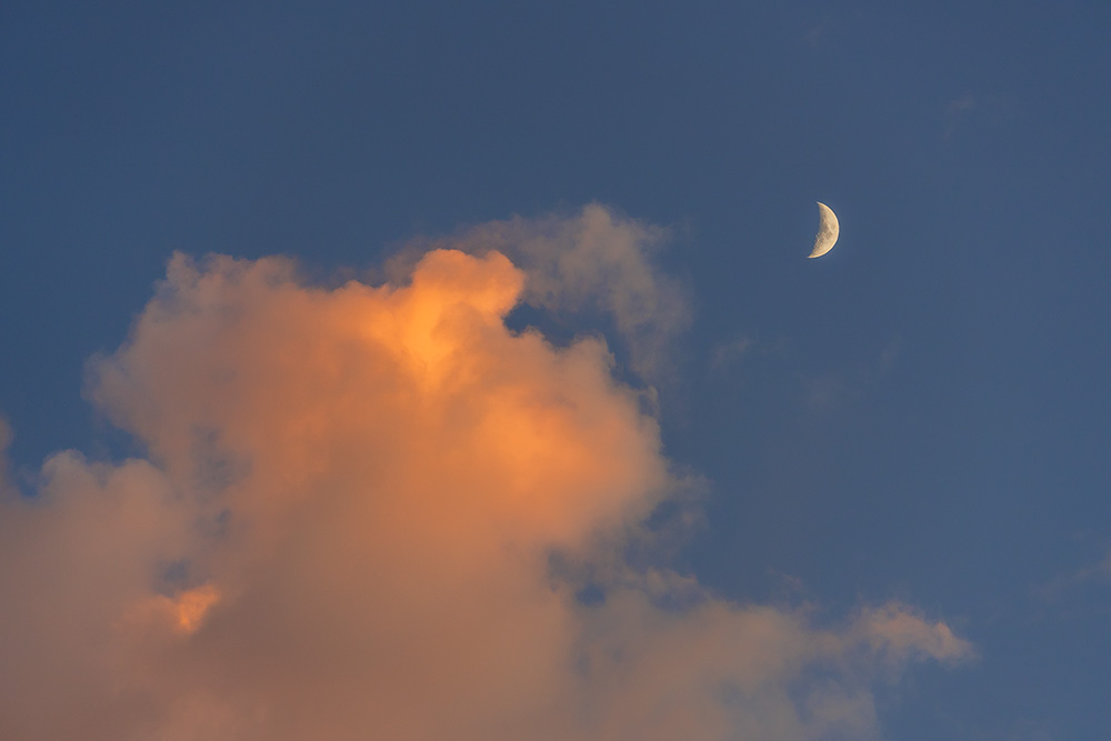 Chasing the Moon | Focal World