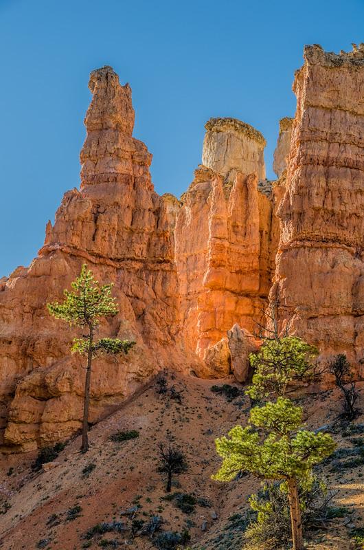 Red Canyon | Focal World