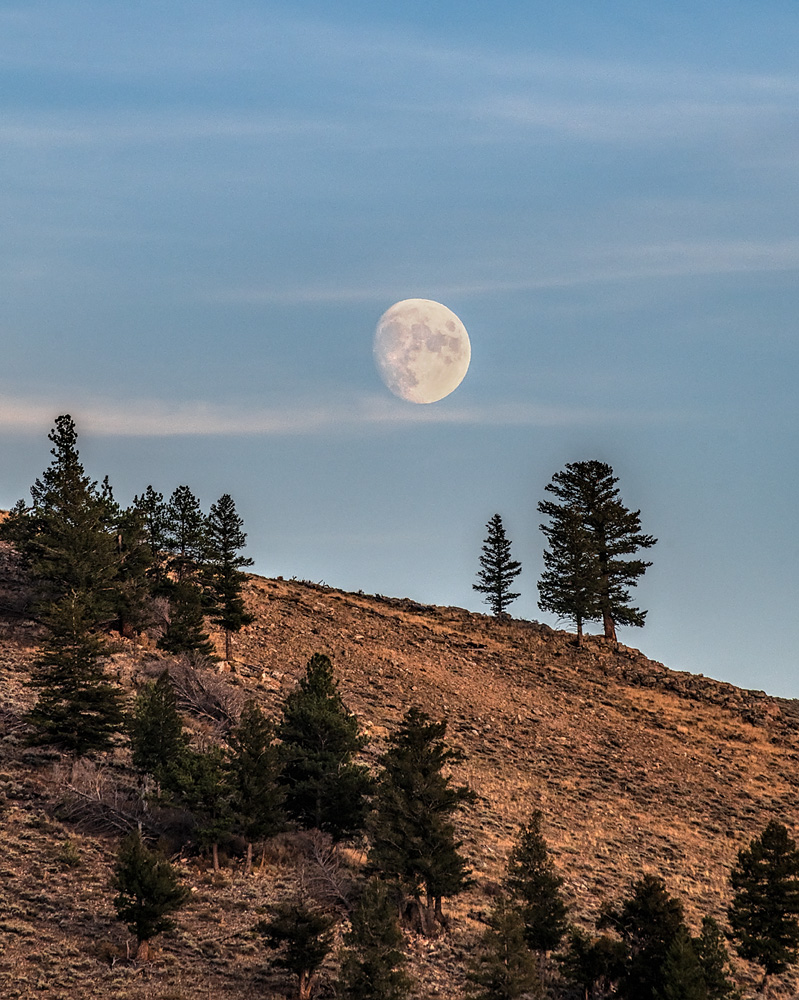 Autumn Moon #2 | Focal World