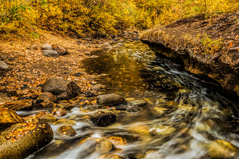 Golden Bend | Focal World
