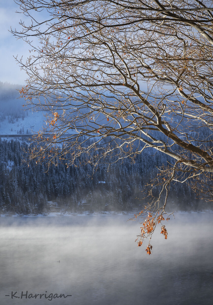 Steam Fog with Late Season Colors | Focal World
