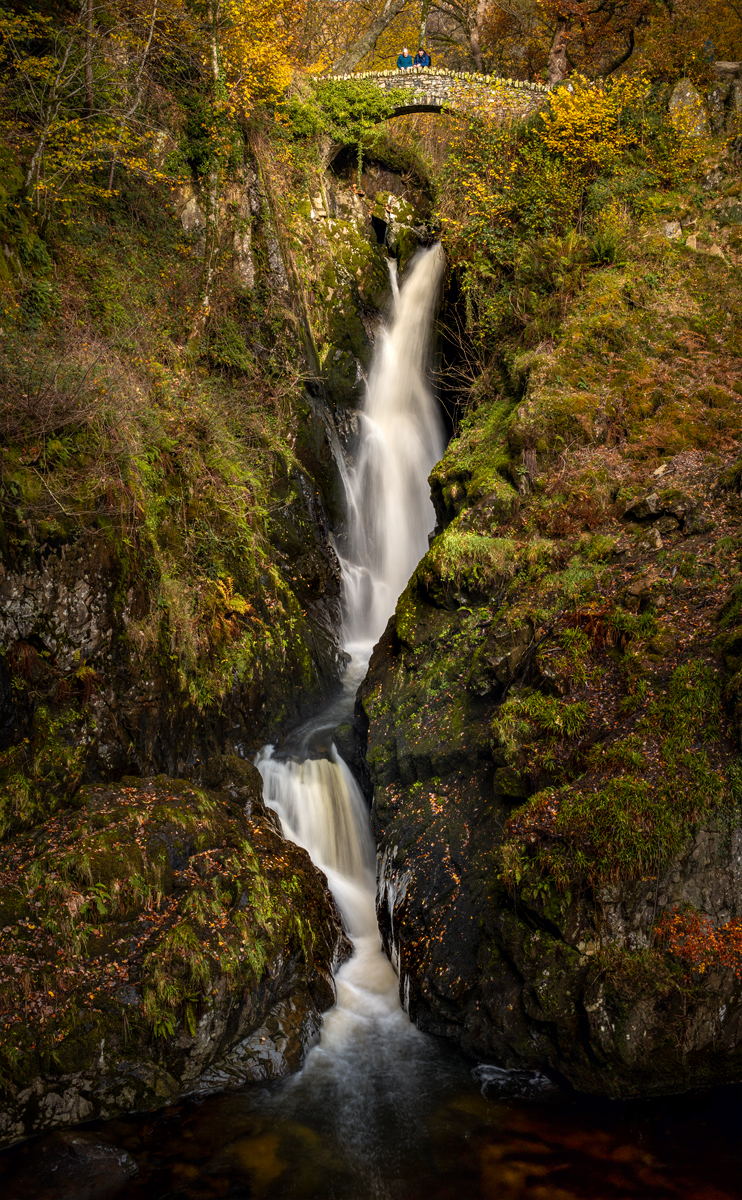 Waterfall Wednesday 11/22/2023 | Focal World