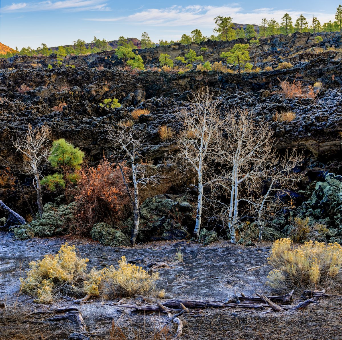 Lava Flow Trail, Sunset Crater Volcano National Monument, AZ | Focal World