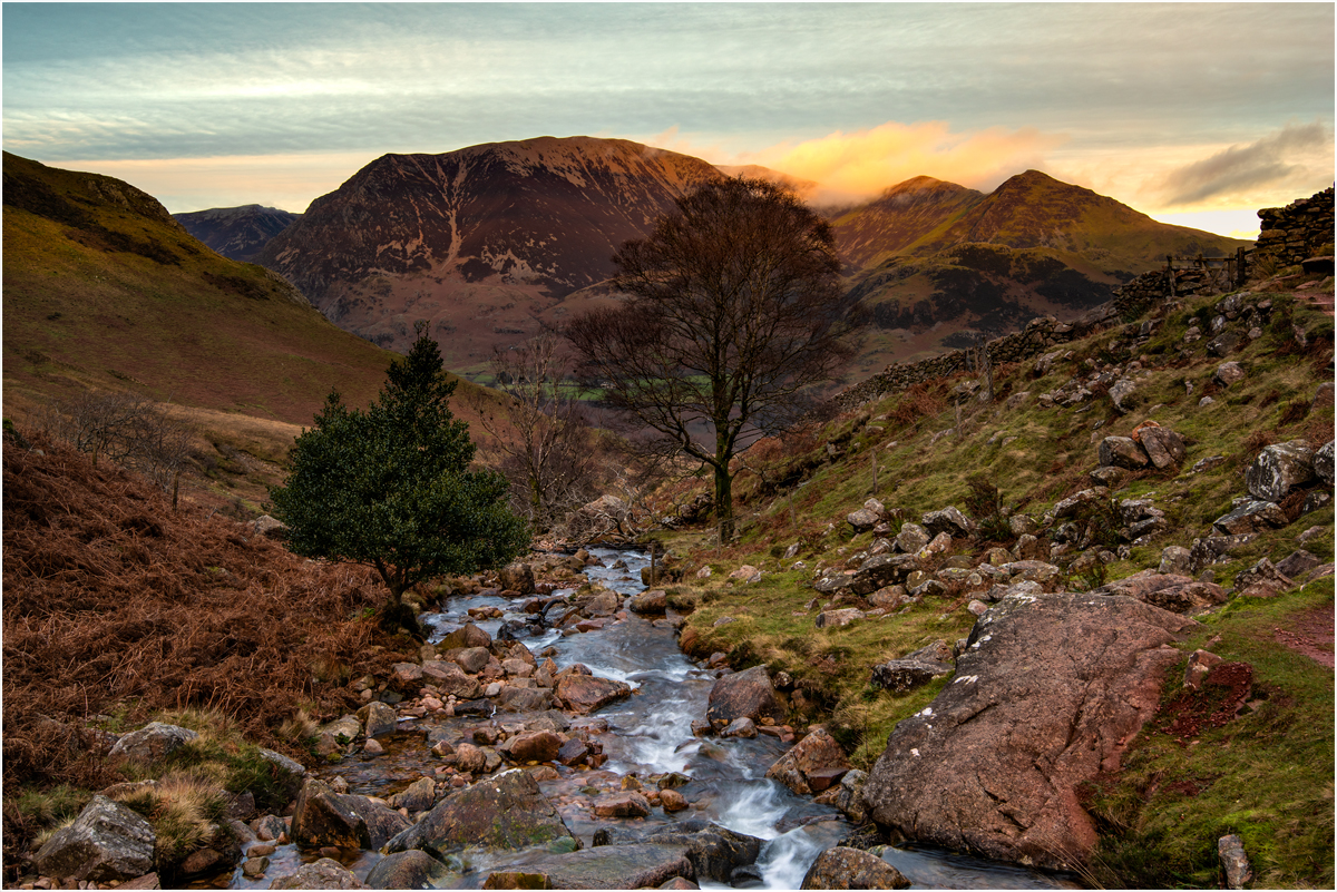 Scale Beck | Focal World