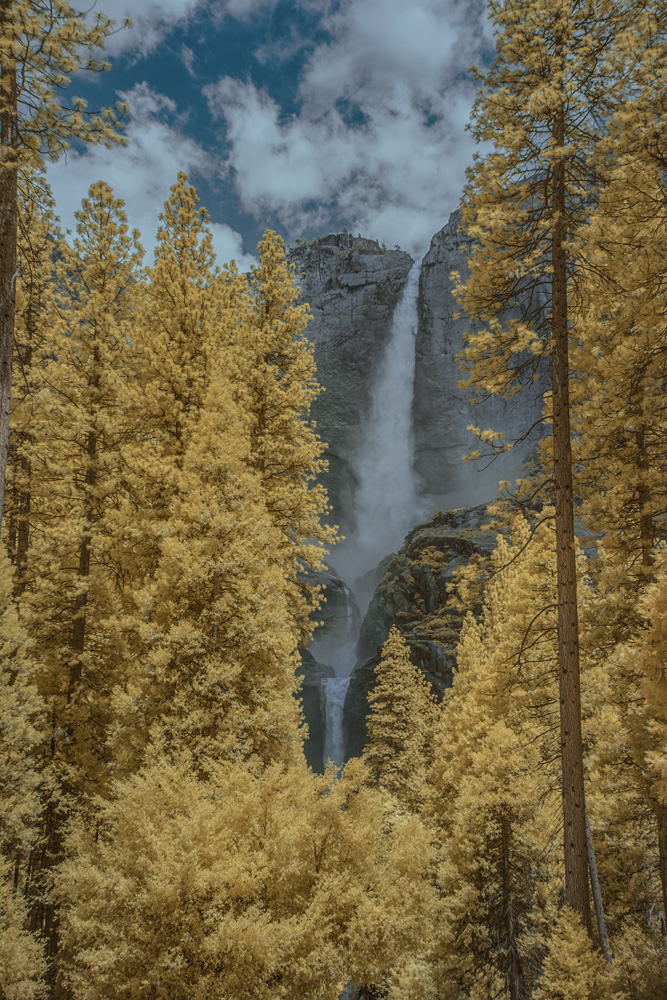 Perpetual Fall Colors! | Focal World