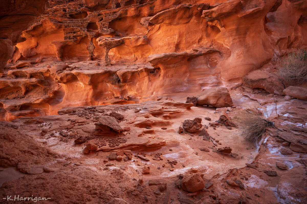 "Red Grotto" | Focal World