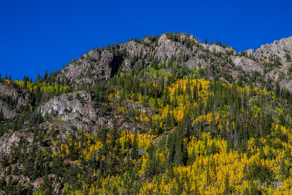 Fall Color by Vail | Focal World