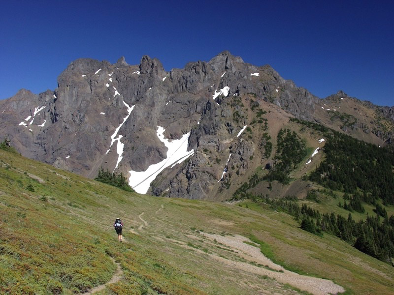 Olympic National Park Article | Focal World