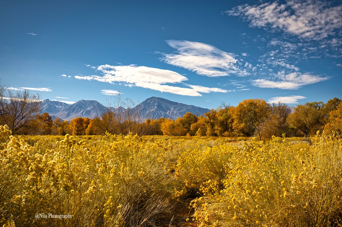 Fall colors - Bishop, CA | Focal World