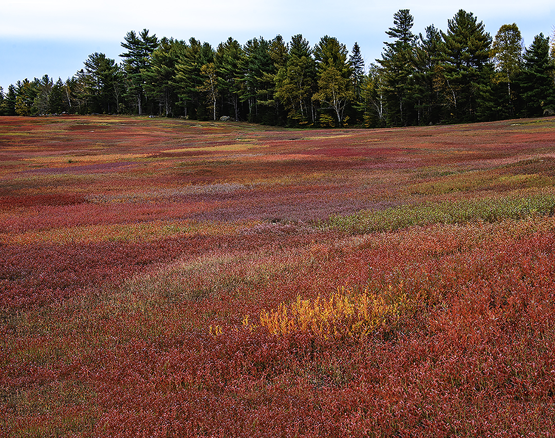 View From Cadillac Mountain | Focal World