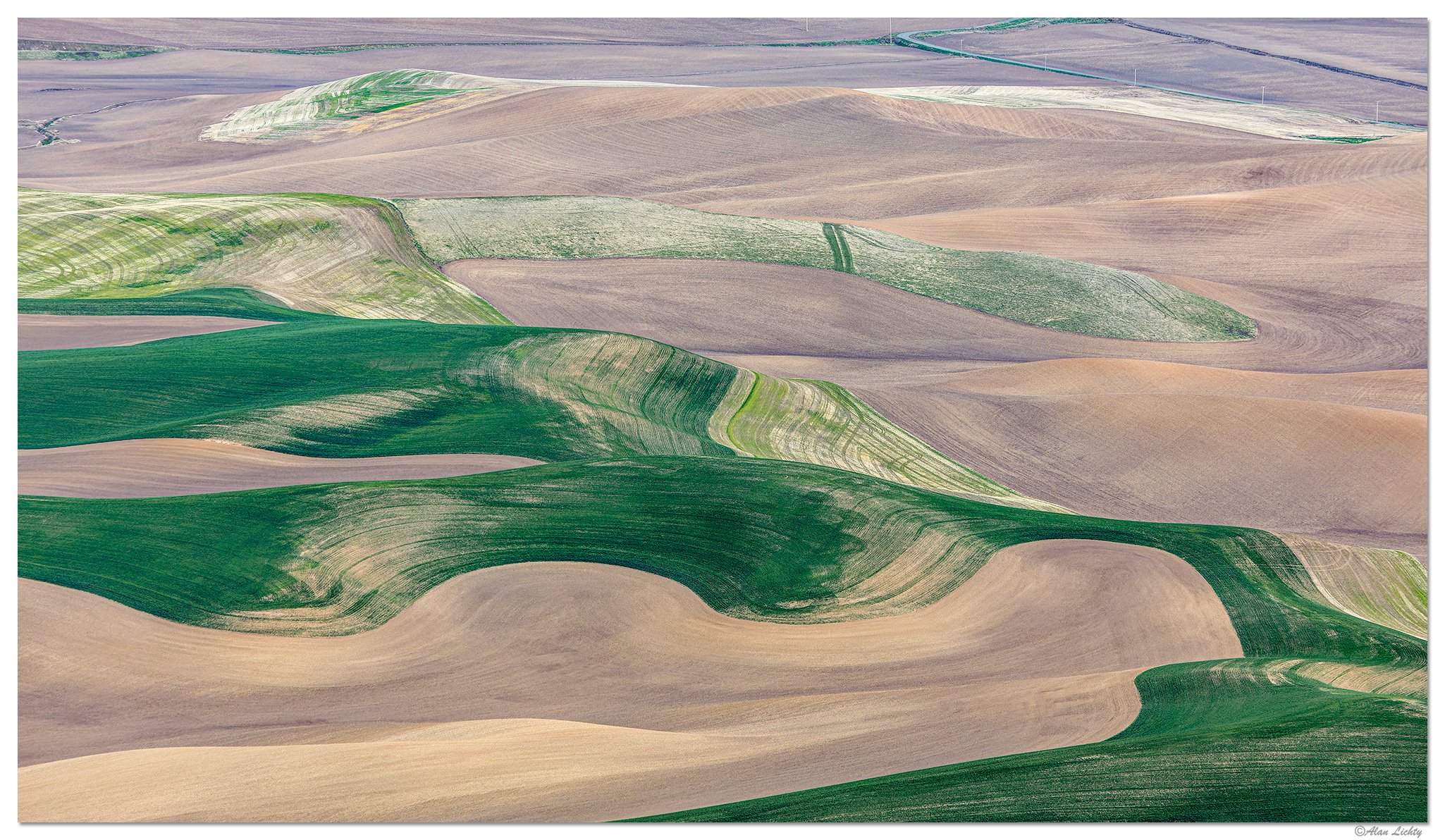 Early Spring in the Rolling Hills | Focal World