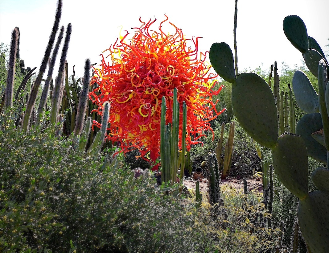 Chihuly in the desert | Focal World