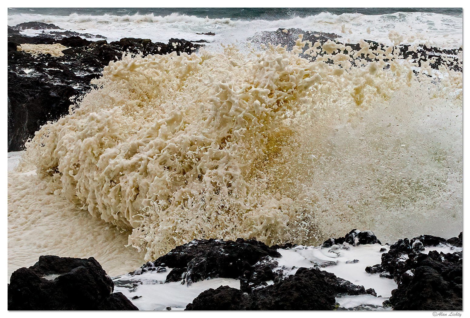 Ocean Latte | Focal World