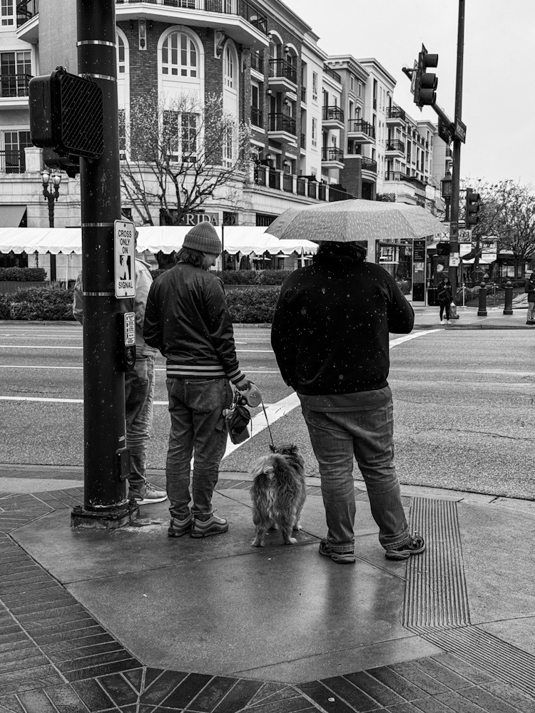Friends | Focal World