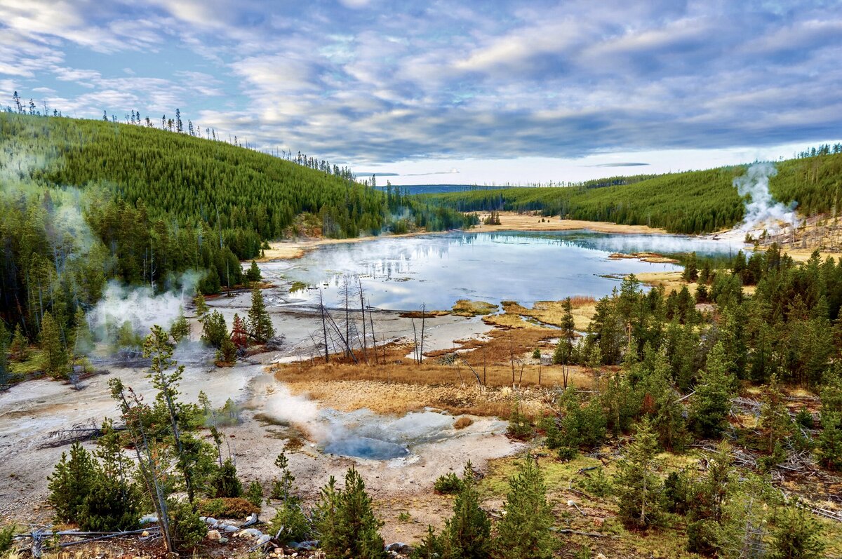 Nymph Lake, Yellowstone National Park, WY | Focal World