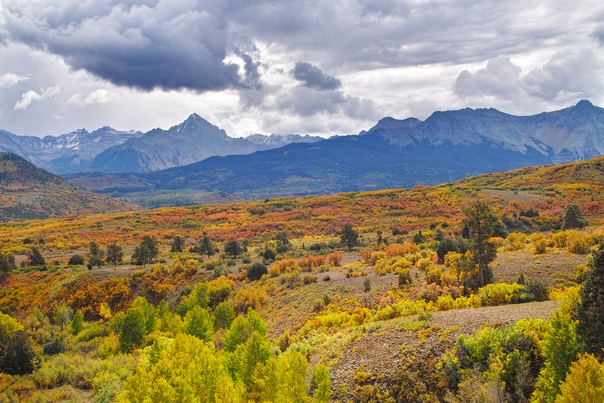 Fall at the Dallas Divide | Focal World