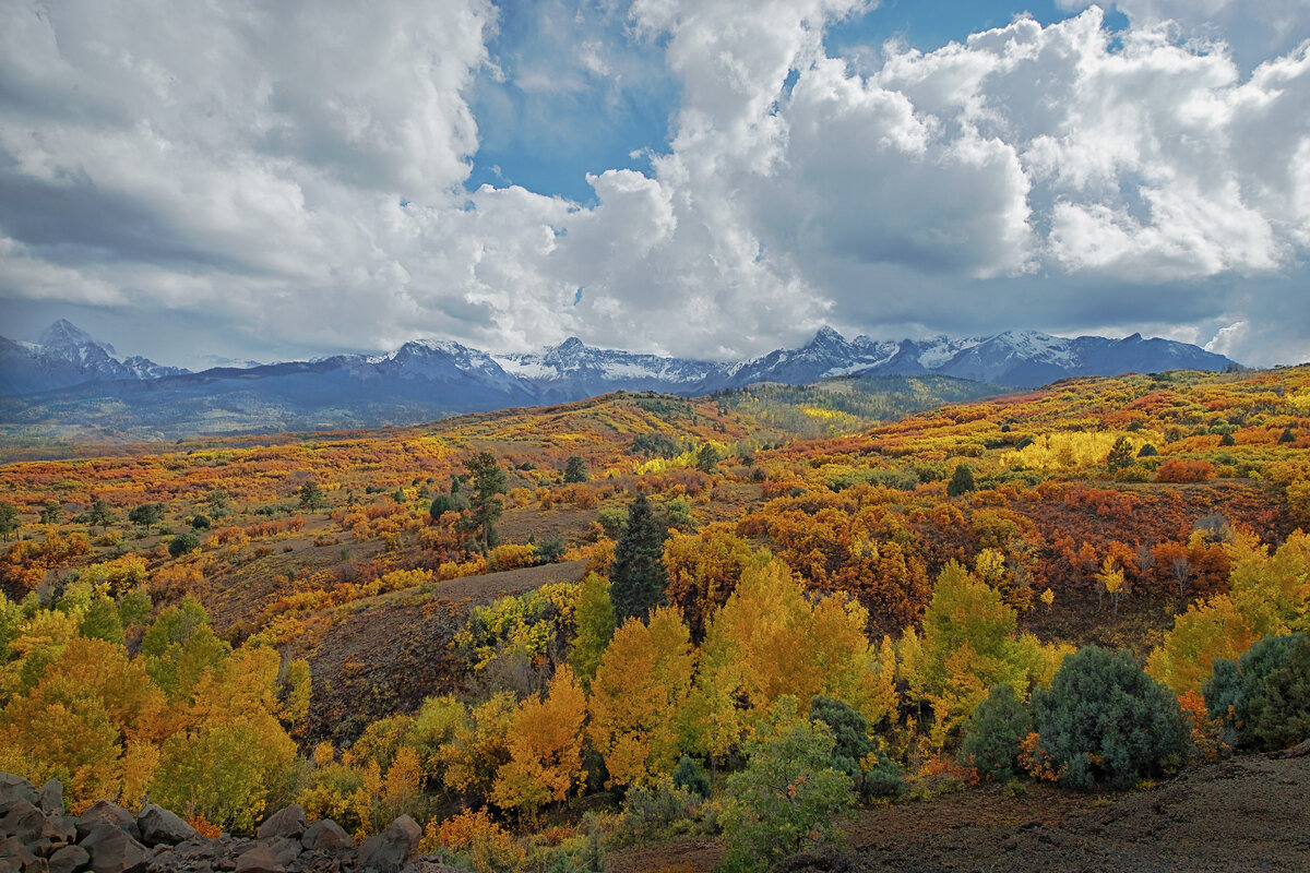 Fall 2021 at the Dallas Divide | Focal World