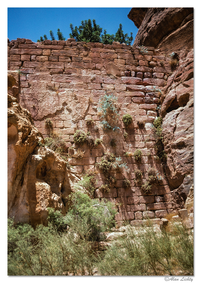 Wadi Farasa | Focal World