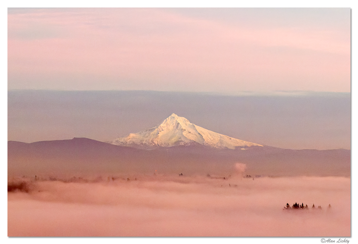 Pastel Fog Sunset | Focal World