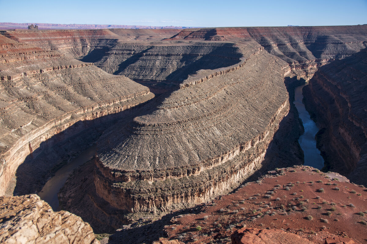 Forest Gump and a Gooseneck | Focal World