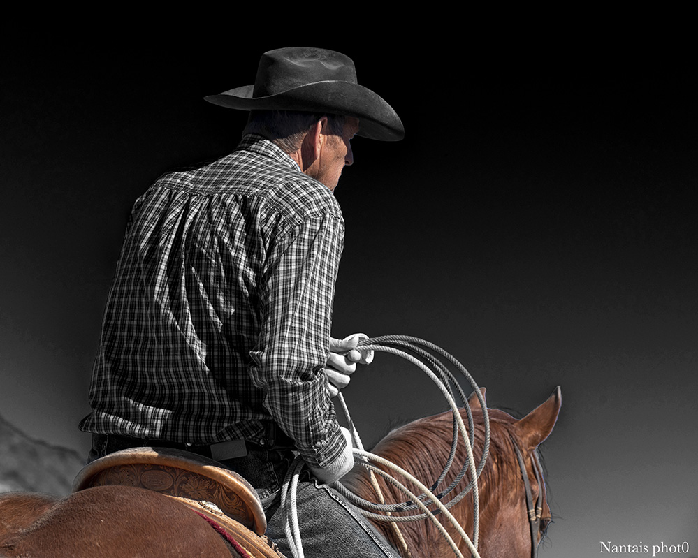 A "real" cowboy from Arizona... | Focal World