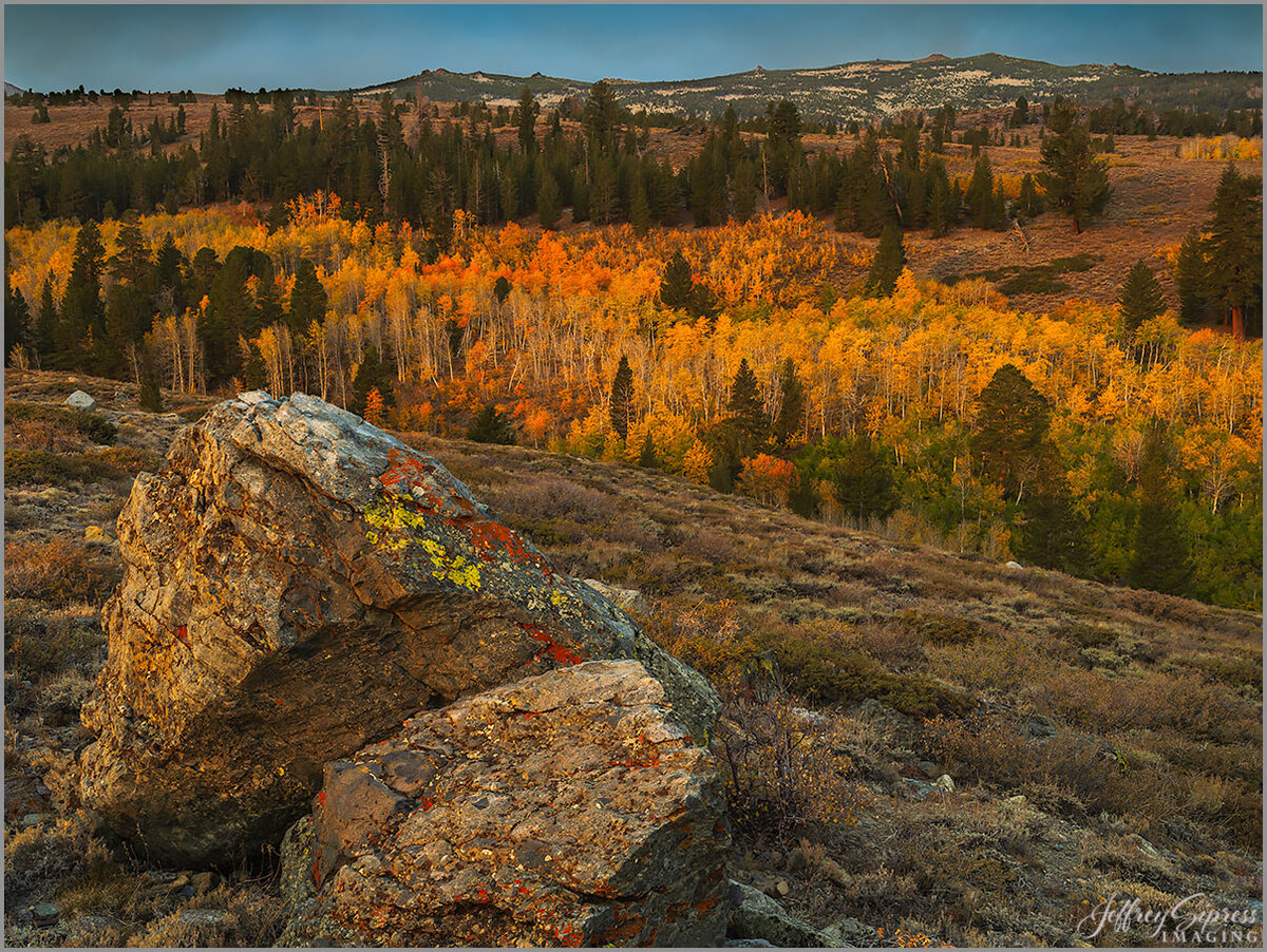 Dunderberg Meadows, Eastern CA. | Focal World