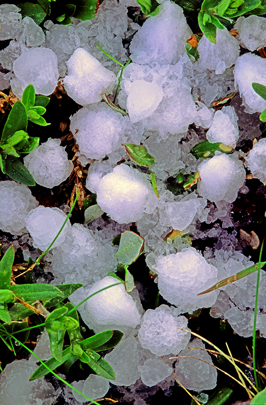 Meteorology Monday- 02/06/2023 | Focal World