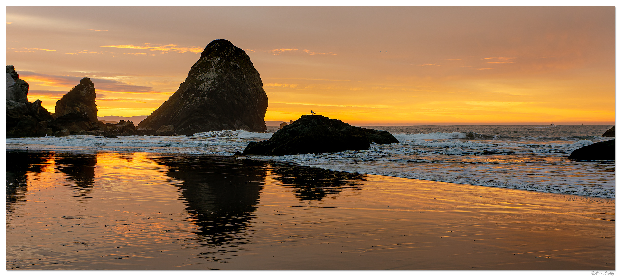 Morning Colors Along the Beach | Focal World