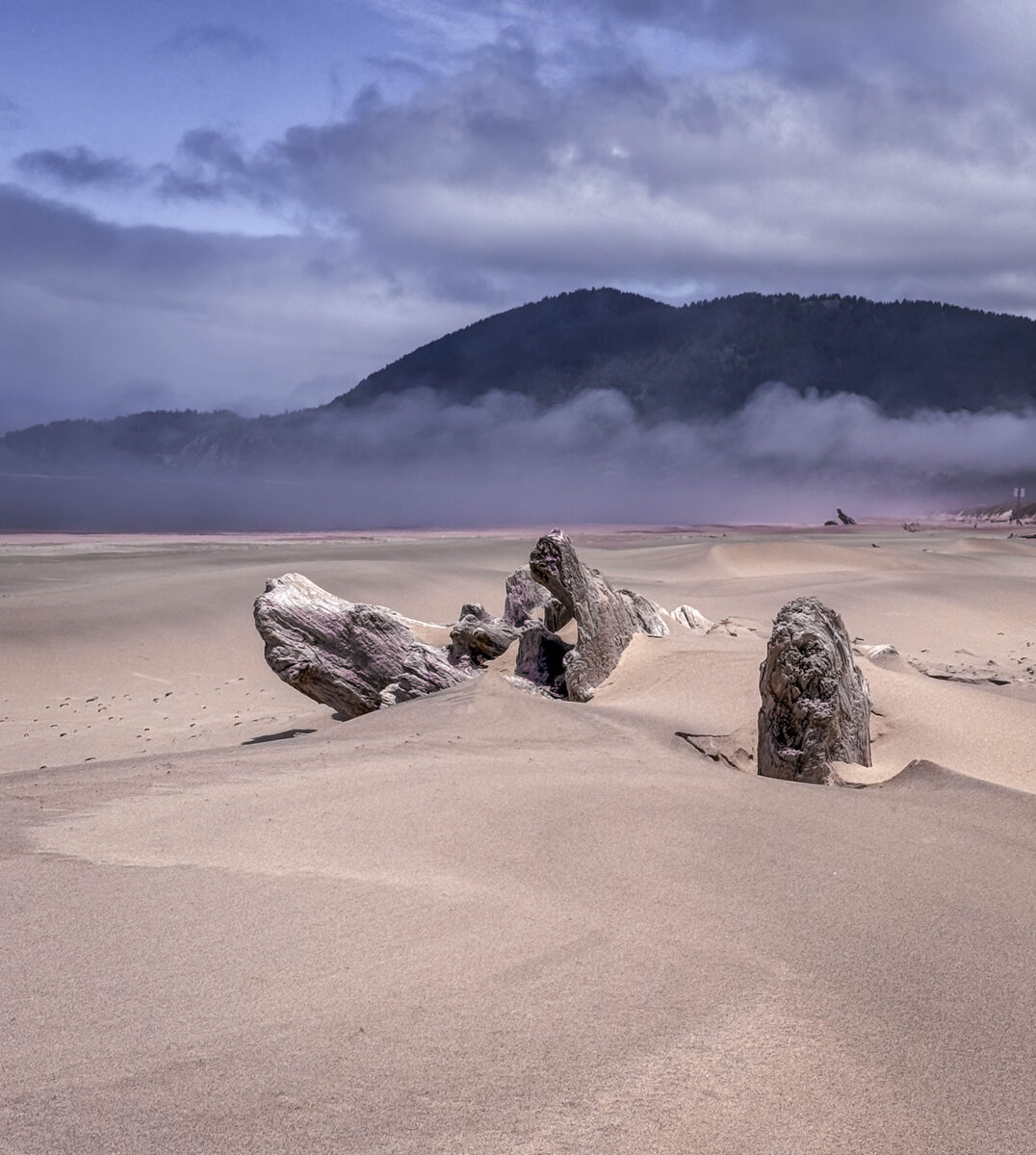Nehalem Bay State Park | Focal World
