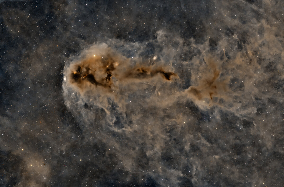 Rotten Fish... | Focal World