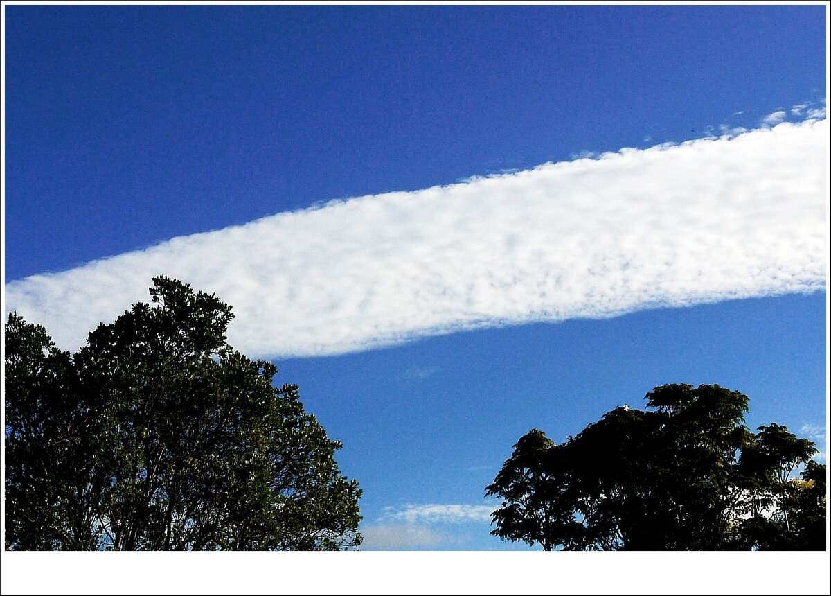 The long white cloud. | Focal World
