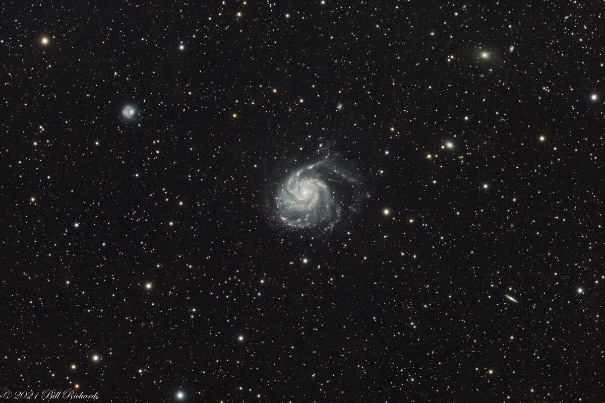 M101 | Focal World