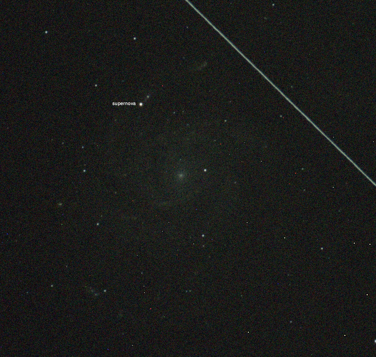 Supernova in m101 | Focal World